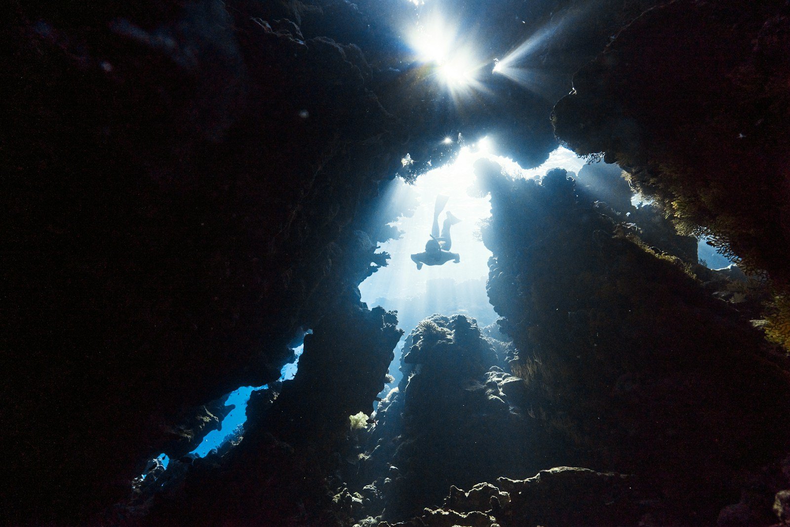 PADI Scuba Adventure - 1 to 6 Dives - Logan Tours